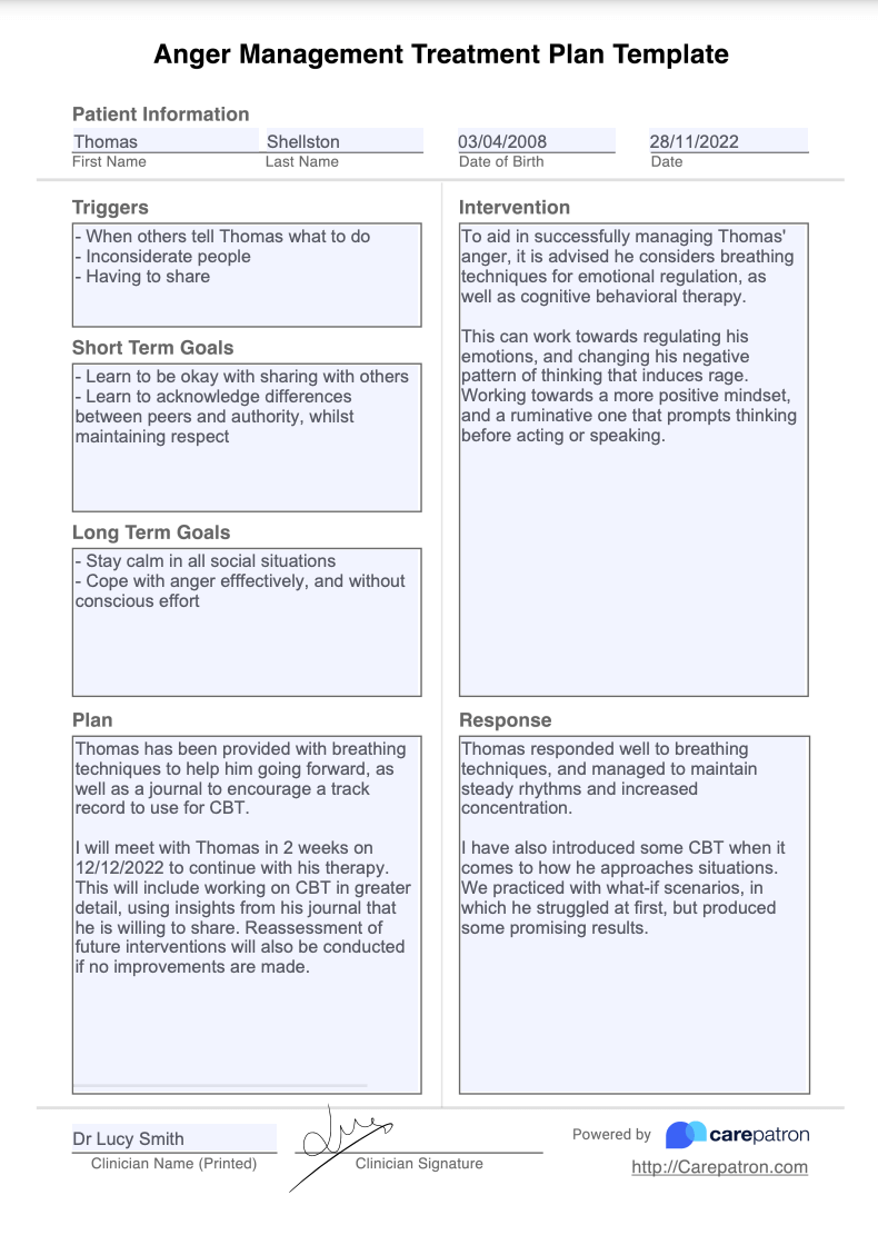 Anger Management Treatment Plan Template Example Free PDF Download